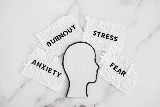 The Science Behind Stress And Self-Care – Mind Lab Pro®